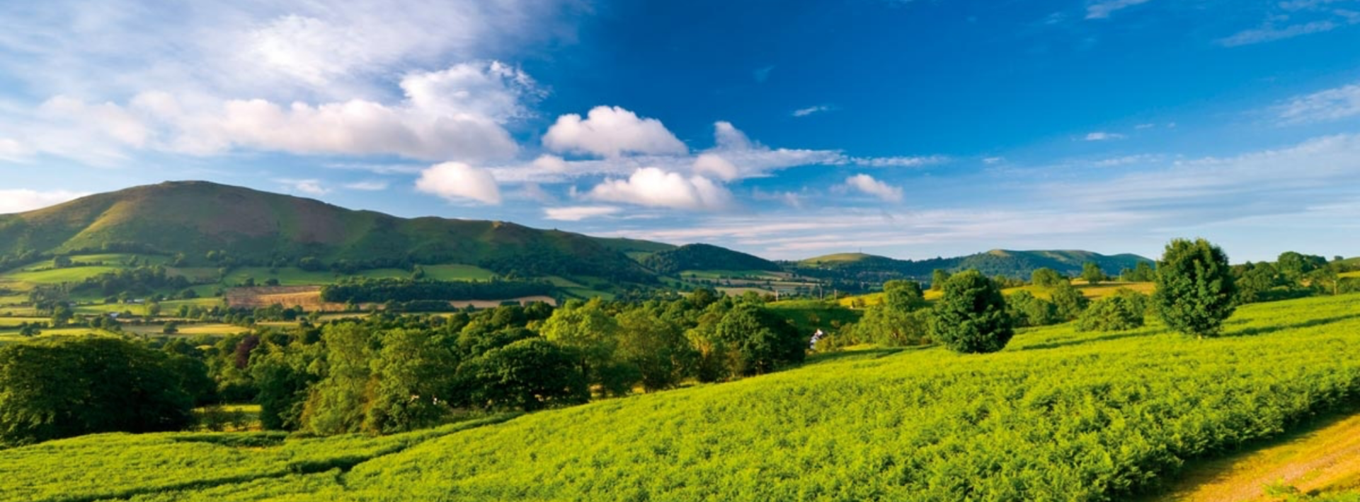 Get Involved – Shropshire Rural Support